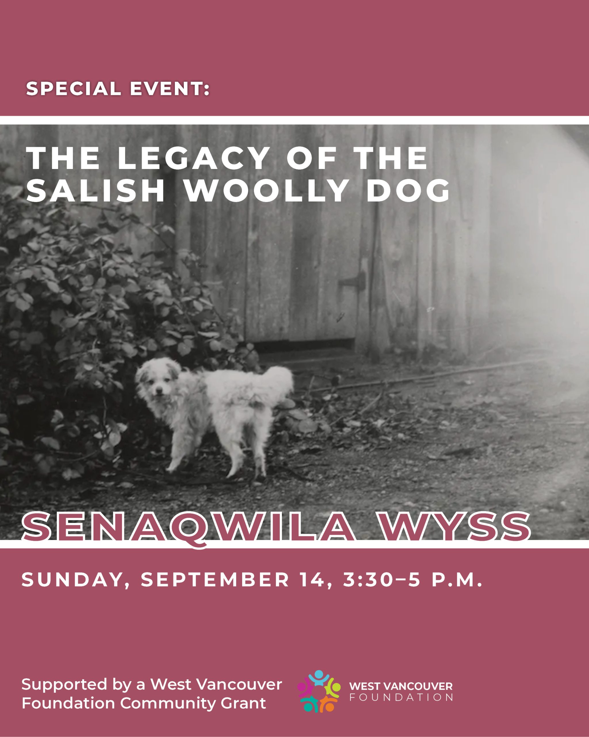The Legacy of the Salish Woolly Dog - Preview Art Magazine